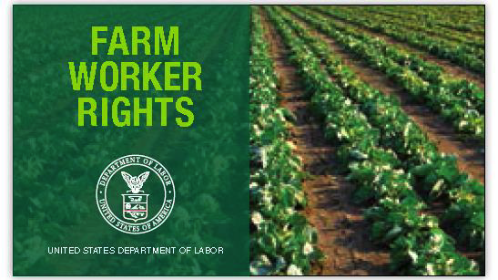 Guidelines for Payment of Farm Labor